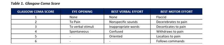 Traumatic Brain Injury Management and Basic Neurosurgery in the ...