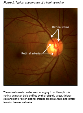Traumatic Brain Injury Management in Prolonged Field Care