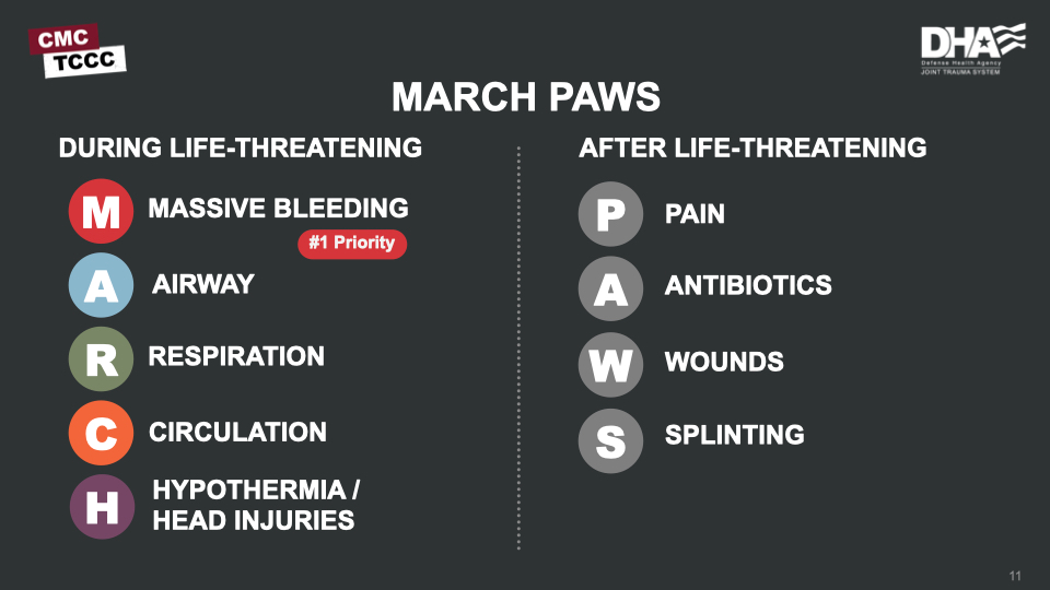 Module 4: Principles and Application of Tactical Field Care (TFC)