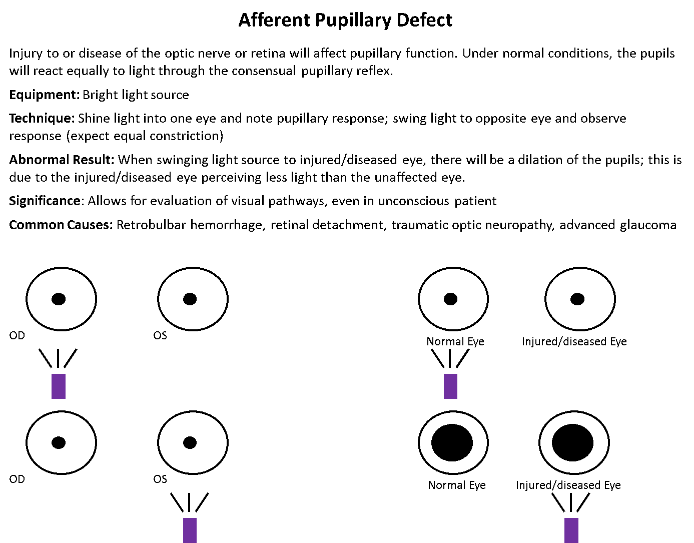 Ocular Injuries and Vision-Threatening Conditions in Prolonged Field Care
