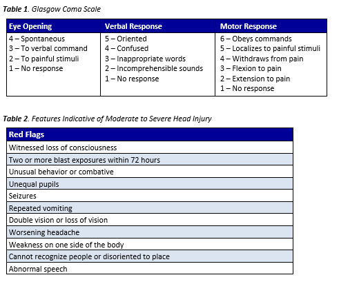 Traumatic Brain Injury Management in Prolonged Field Care